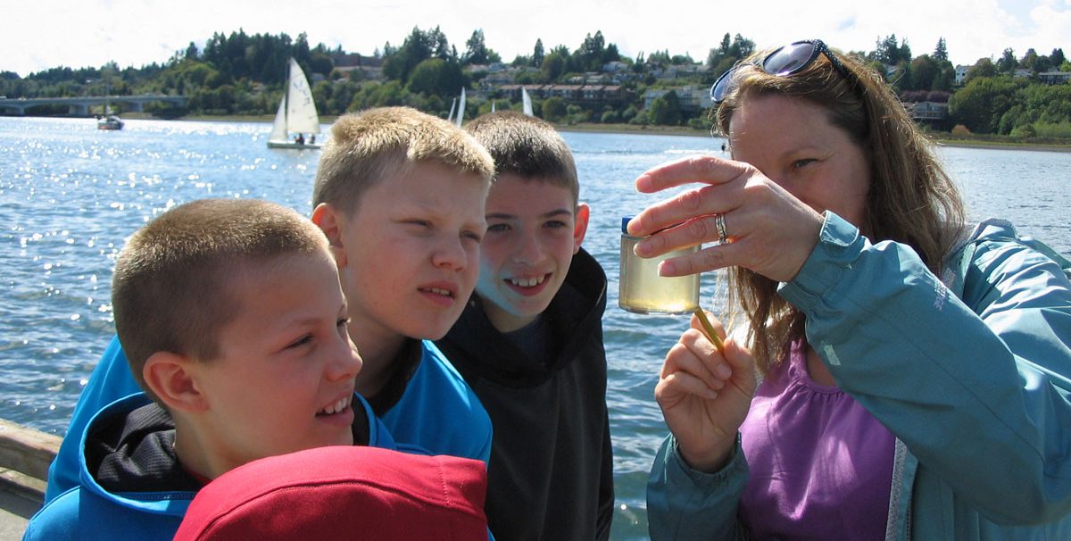 About Us - Stream Team