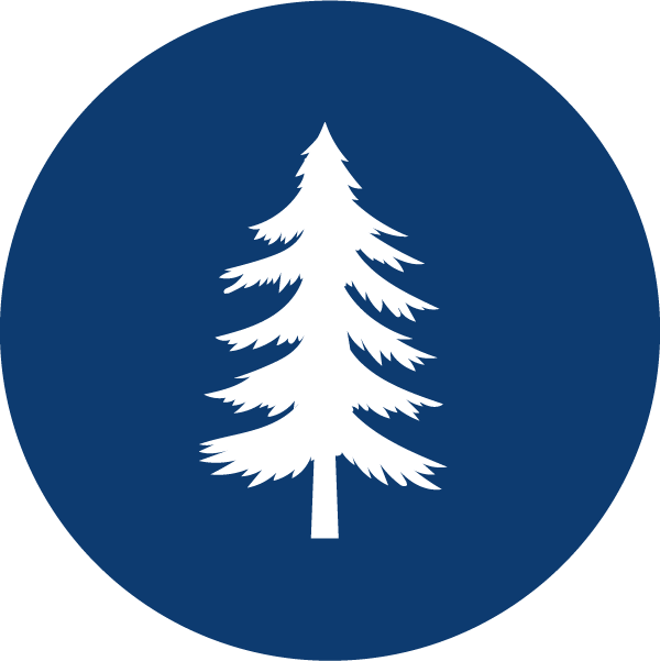 Squaxin Park (Priest Point Park): Ellis Cove Forest Trail - Stream Team