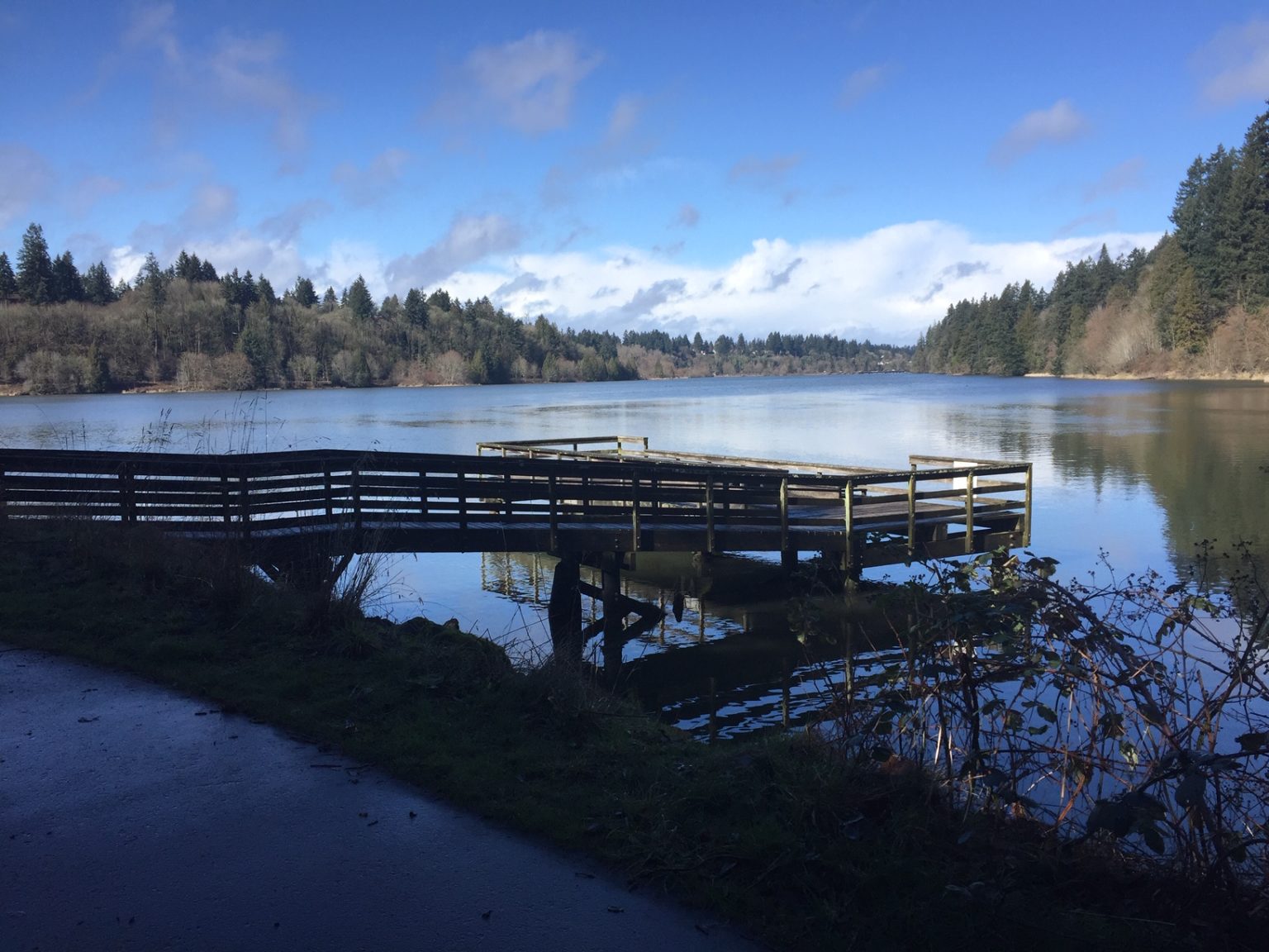 Tumwater Historical Park - Stream Team