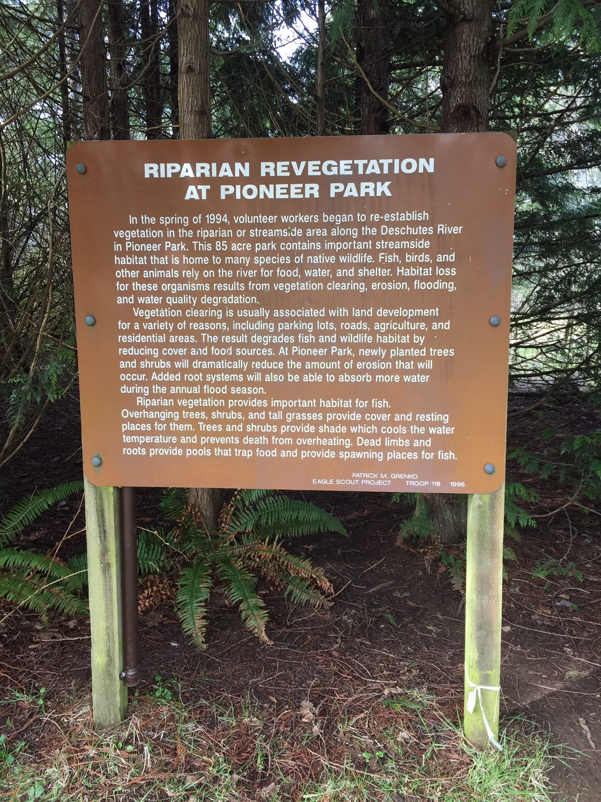 Pioneer Park - Stream Team