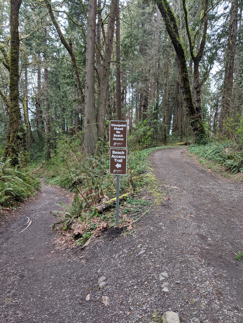 Squaxin Park (Priest Point Park) Flora Vista Beach Trail - Stream Team