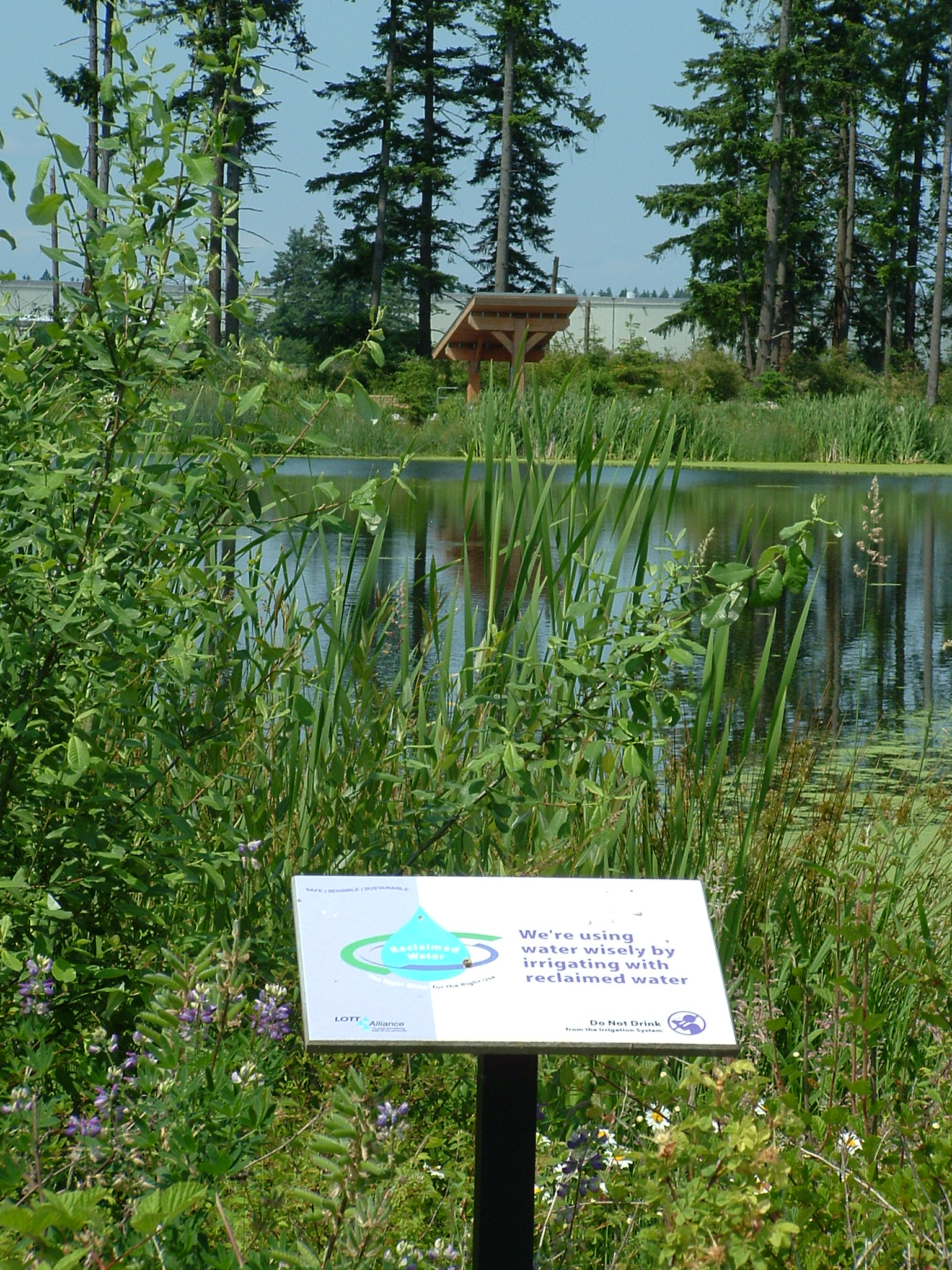 Hawks Prairie Ponds - Stream Team