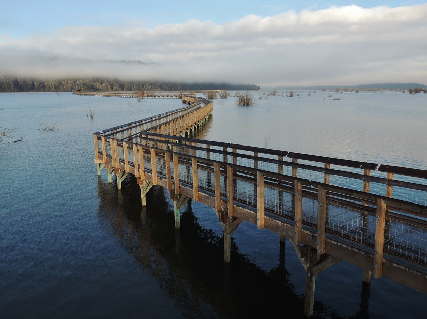 Billy Frank Jr. Nisqually National Wildlife Refuge Estuary Boardwalk ...